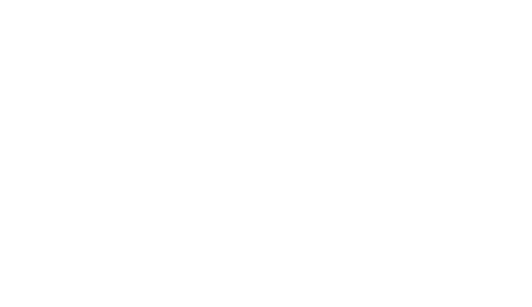 Racer - Fert Motorcycles